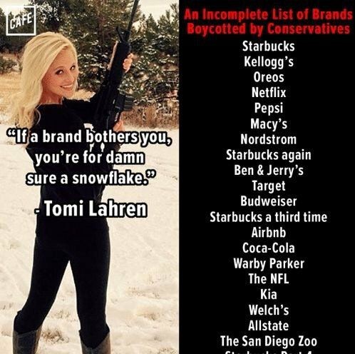 “Snowflake”: Anatomy of a Slur – The Propaganda Professor